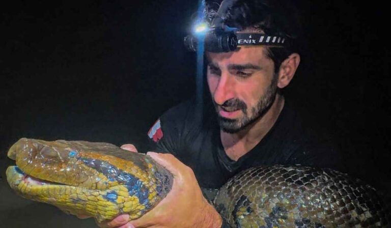Conservationist attempts to be eaten by giant anaconda to raise ...