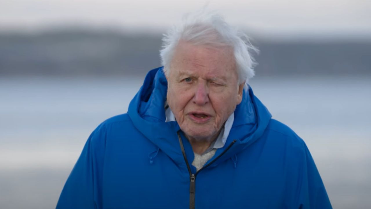 David Attenborough, at 98, speaks about the end of life and warns of ...