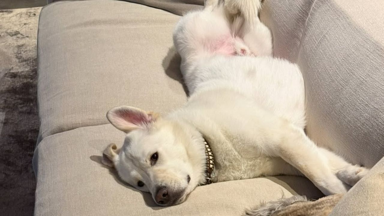 Jennifer Aniston deletes post with personal information after fan warning