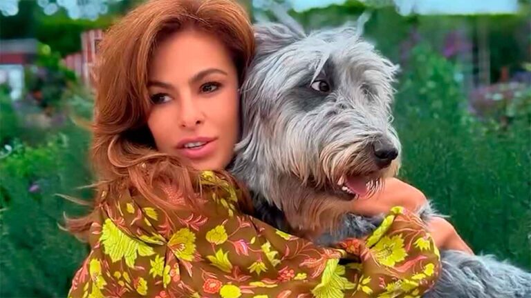 Video: Eva Mendes verrät, wer die wahre Liebe von Hündin Magic ist ...