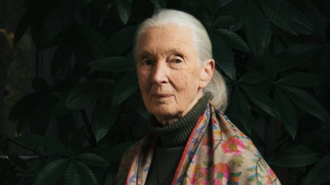 Leonardo DiCaprio tops the list of celebrities paying tribute to Jane ...