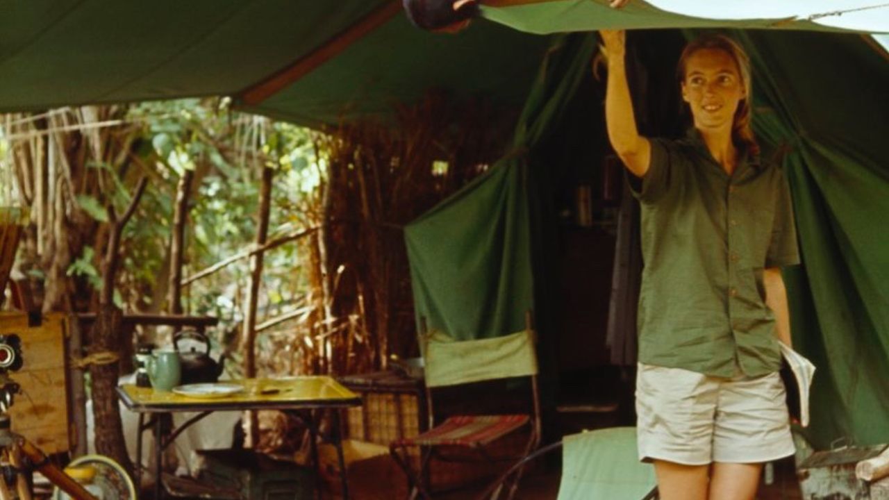 Leonardo DiCaprio topper listen over kendisser, der hylder Jane Goodall